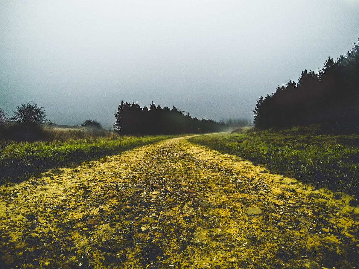 Choosing your own path.. It’s only when you look back that you… | by ...