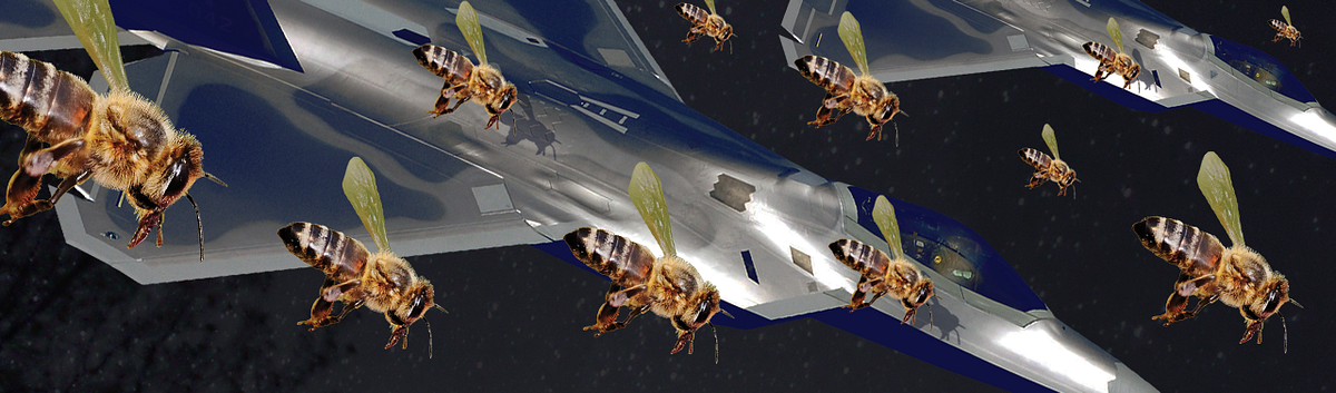 Why the U.S. Military Is Into Bee Brain Surgery | by Nautilus ...