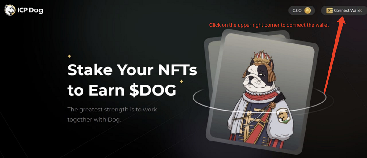 ICP.Dog Staking Public Beta Tutorial - ICP.DOG - Medium