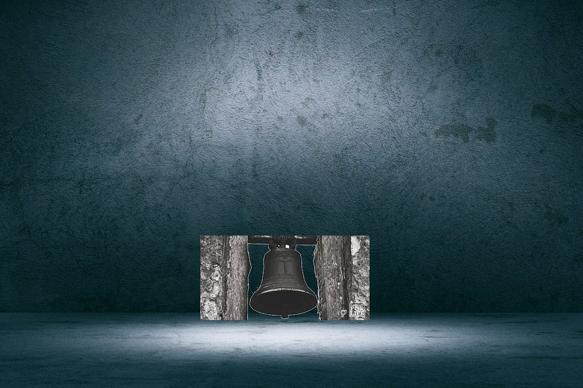 Has the bell begun to toll?. It’s taken 8 weeks…. | by Michael Blumberg ...