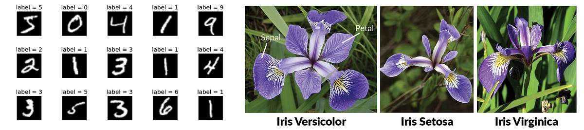 Forget About IRIS and MNIST Datasets. Find Your Own | by Andrii ...
