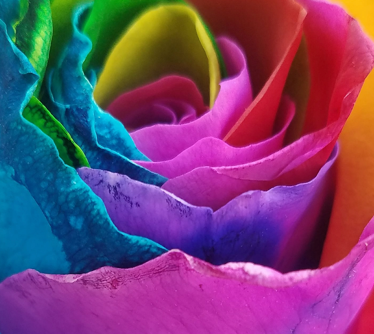 A Pride Story — 2019. From Matthew: | by Matthew Schweitzer & Sean ...