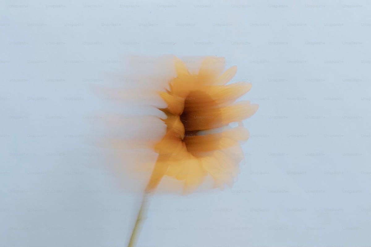 Farewell. - Tharushi Botheju - Medium
