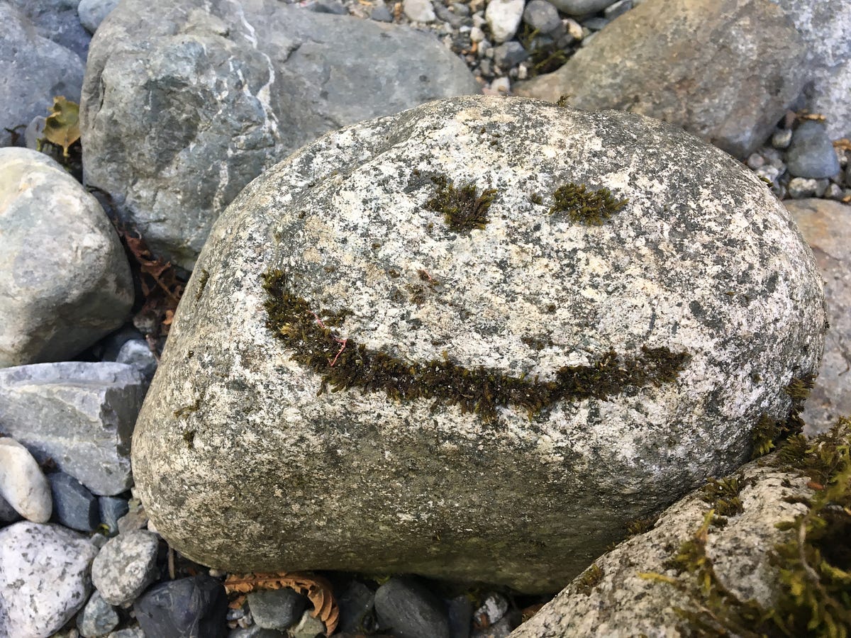 Nature’s Happy Faces. Children will find them before you do. | by Mary ...