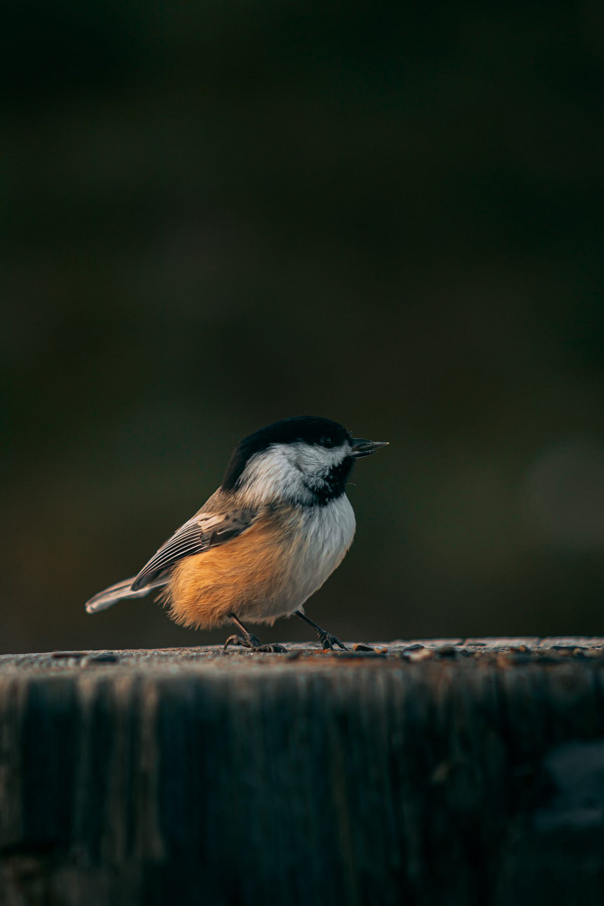 Report Automation Tips with Python | by KahEm Chu | Towards Data Science