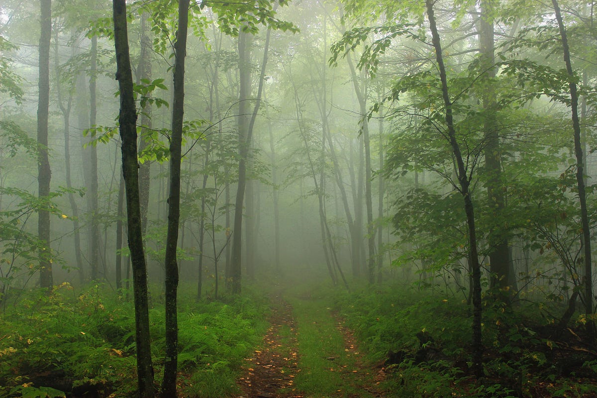 Are we where we need to be?. Five weeks remain in Techstars and I… | by ...