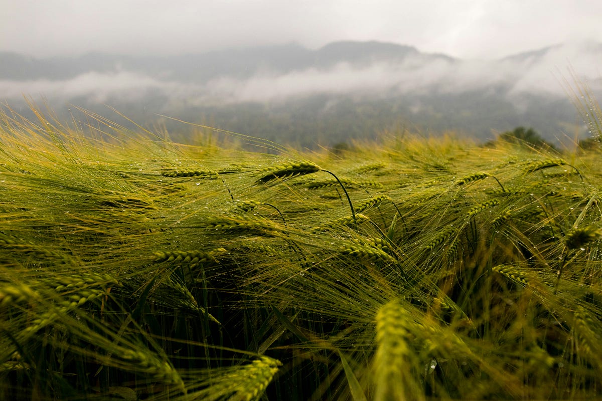 40 MySQL Performance Optimization Strategies | by ByteCook | Stackademic