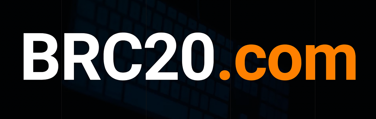 BRC-20 Is still Growing!. Overview article about the brc20.com | by Kirito | Jan, 2024 | Medium