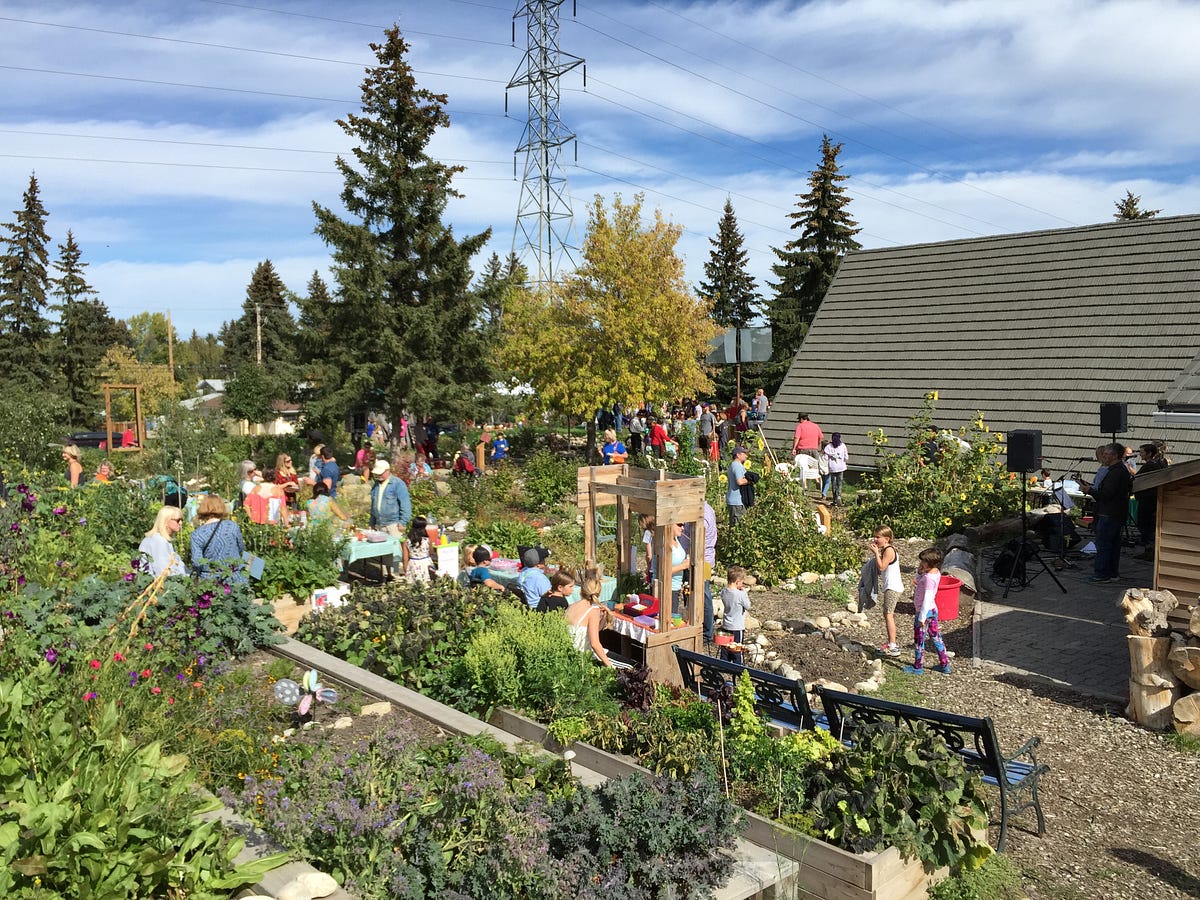 Calgary and Community Gardens. My City, My Issue | by Danielle Gervais ...