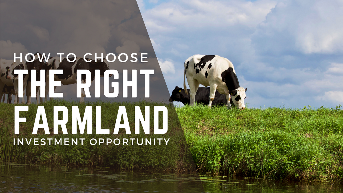 How to choose the right farmland investment opportunity | by Brogan ...