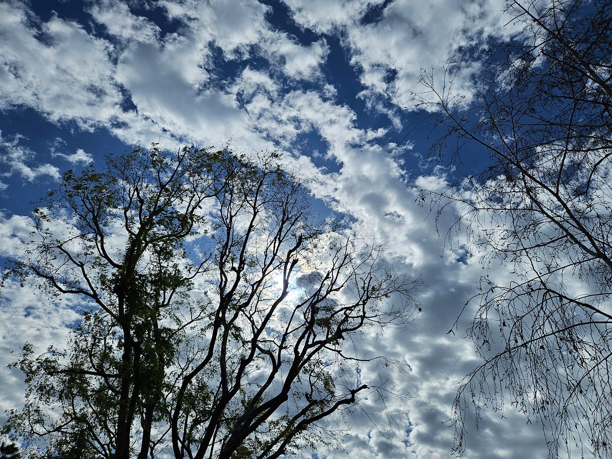 Wind storm has an electrical note. | by Julie Lea Blooms | New Earth ...