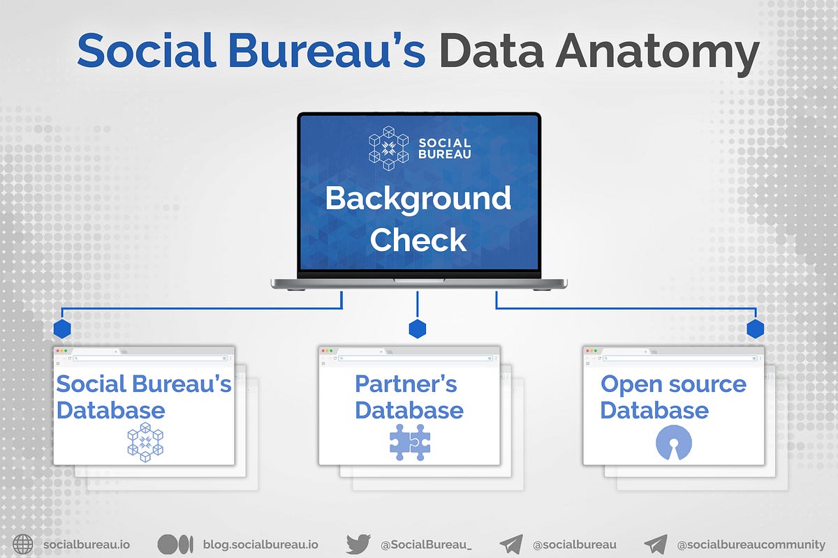 Social Bureau Data Anatomy. For the Background Check feature, the… | by ...