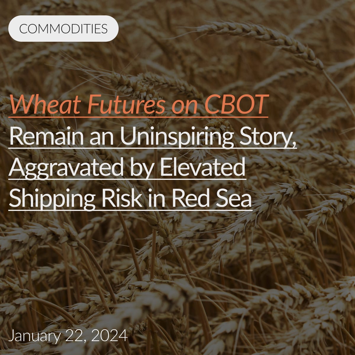 Wheat Futures on CBOT Remain an Uninspiring Story, Aggravated by Elevated Shipping Risk in Red ...
