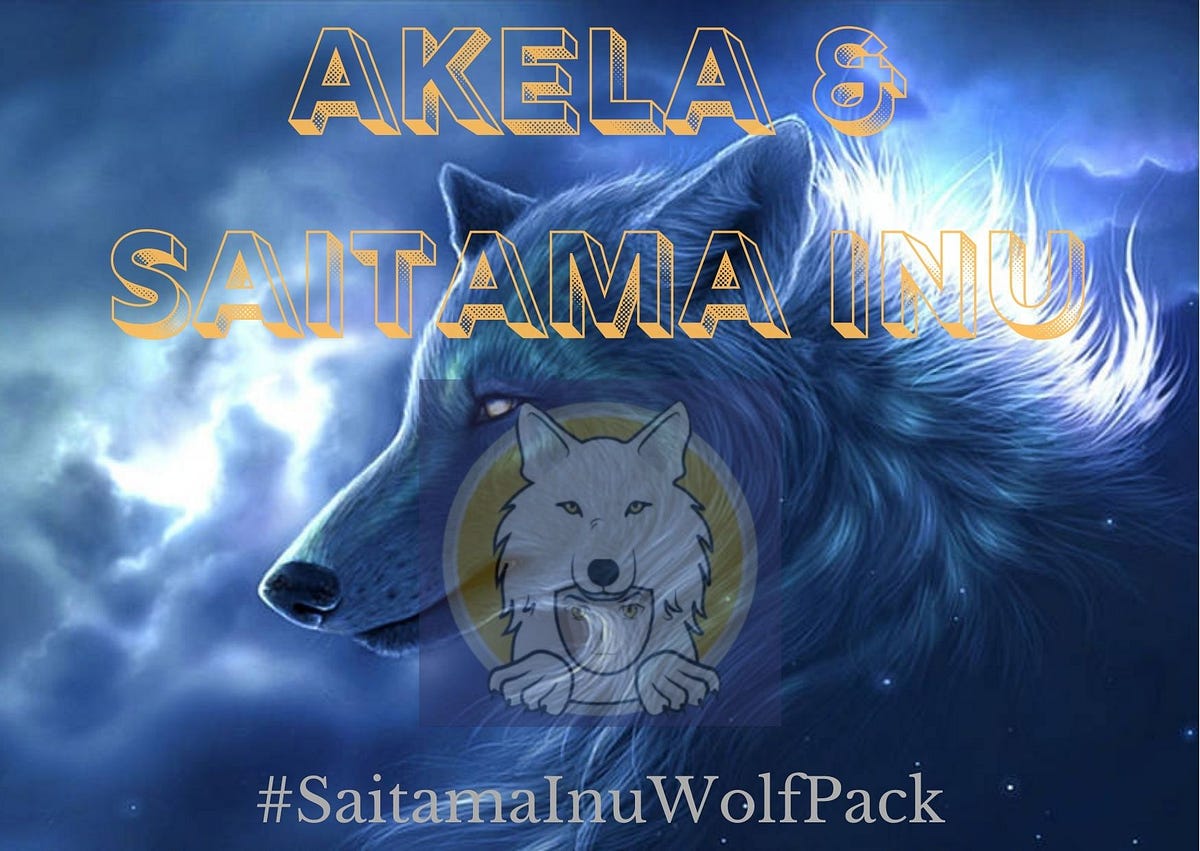 This is a story about an old wolf named Akela. | by CaptAmir | Medium