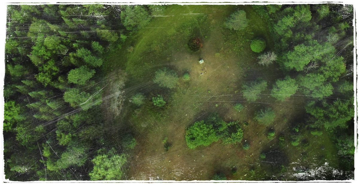 Nature & Green Look Unique in the Eagle-Eye Views | ILLUMINATION-Curated