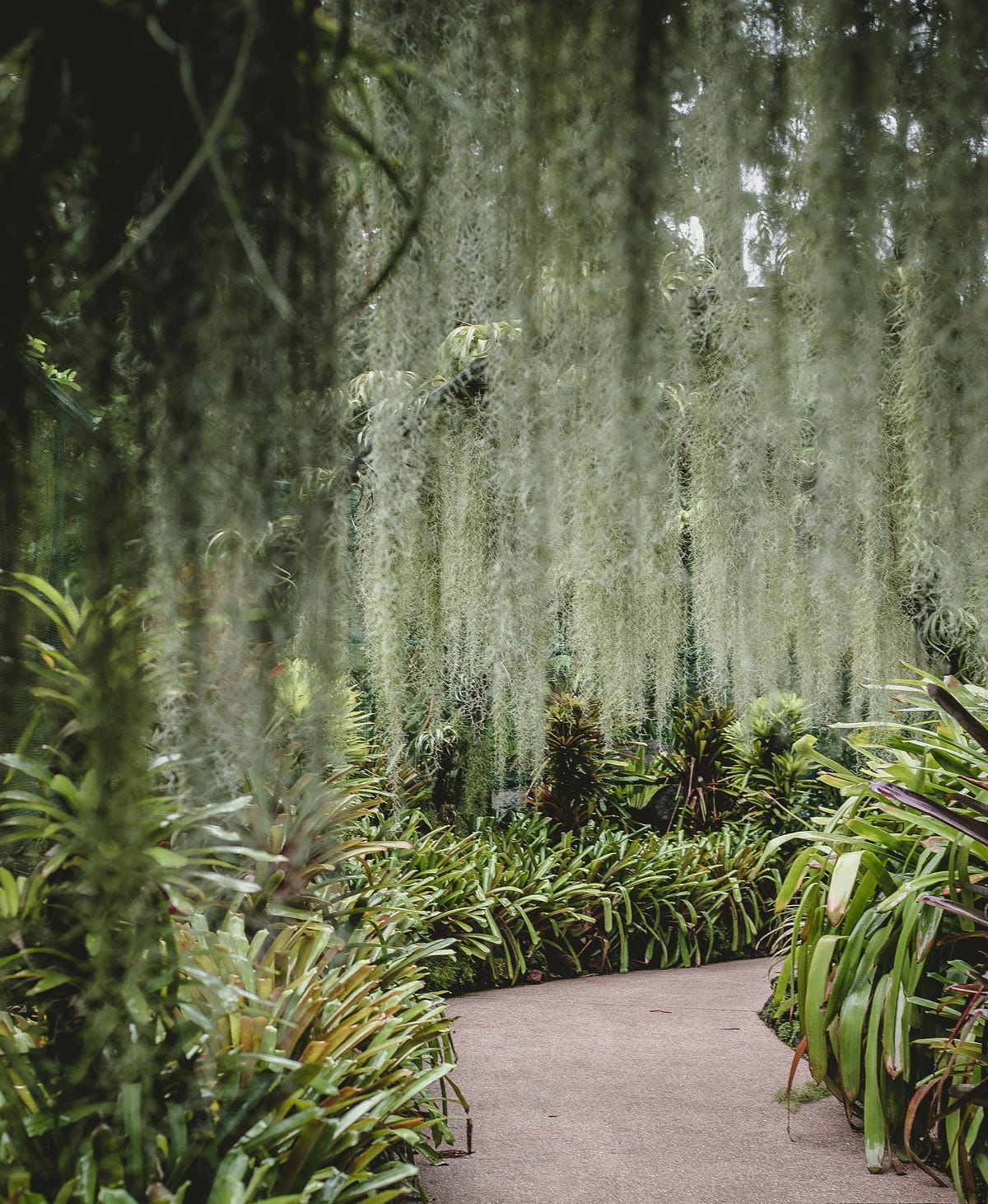 mindful travel calming, slow walking meditate, brain wellness travel ...