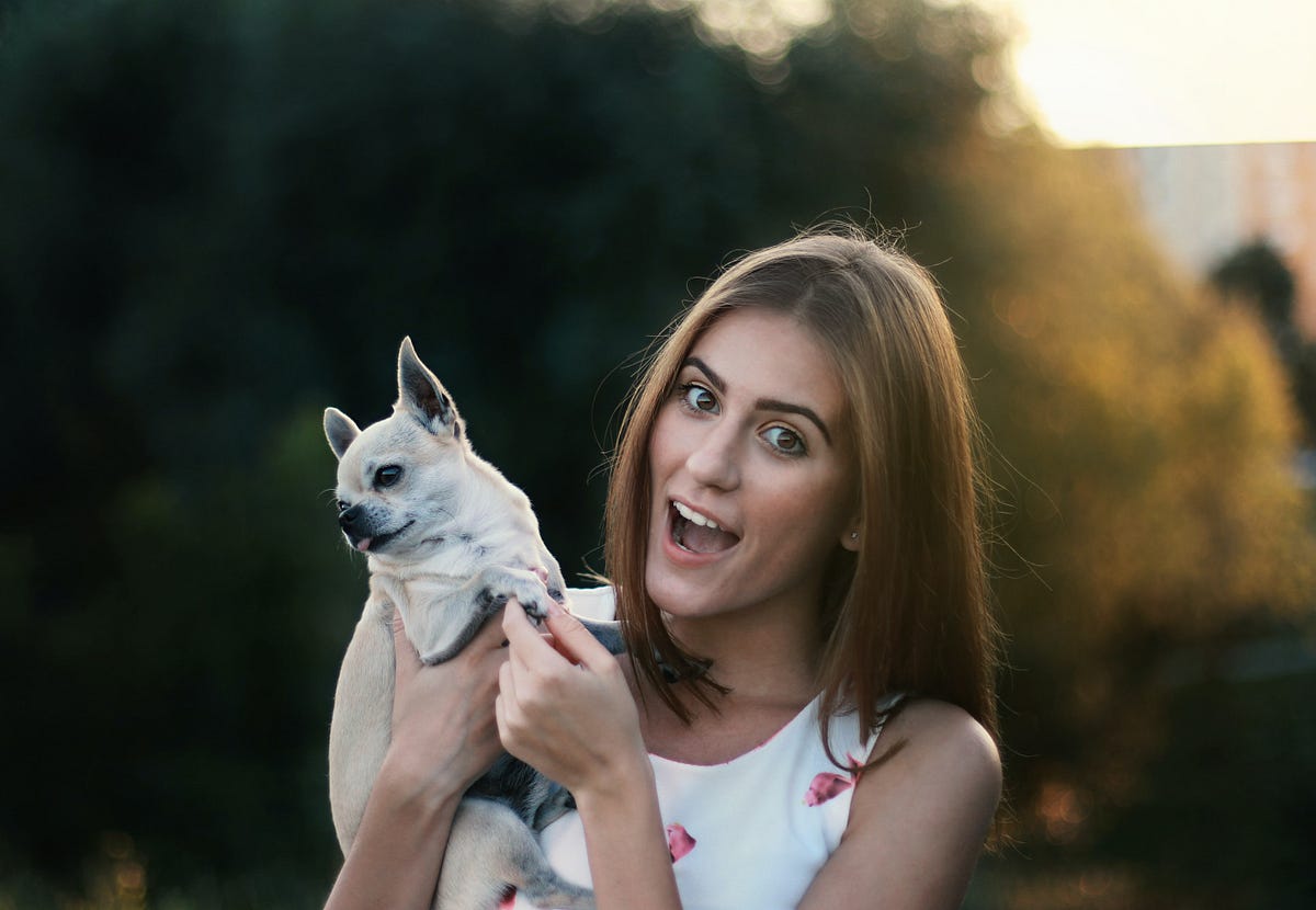 “Unleashed Love: The Surprising Health Benefits of the Human-Dog ...