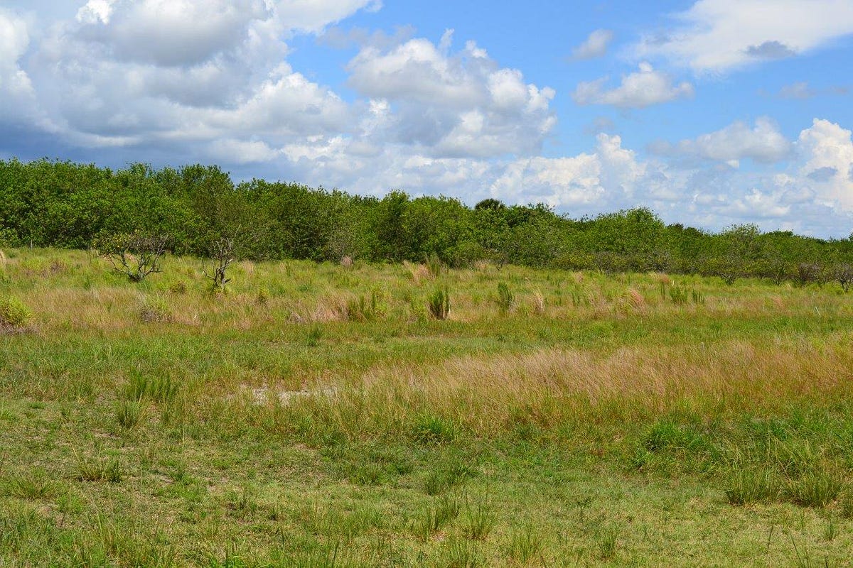 Environmental Impacts of Rural Lands West | by Conservancy of SWFL ...