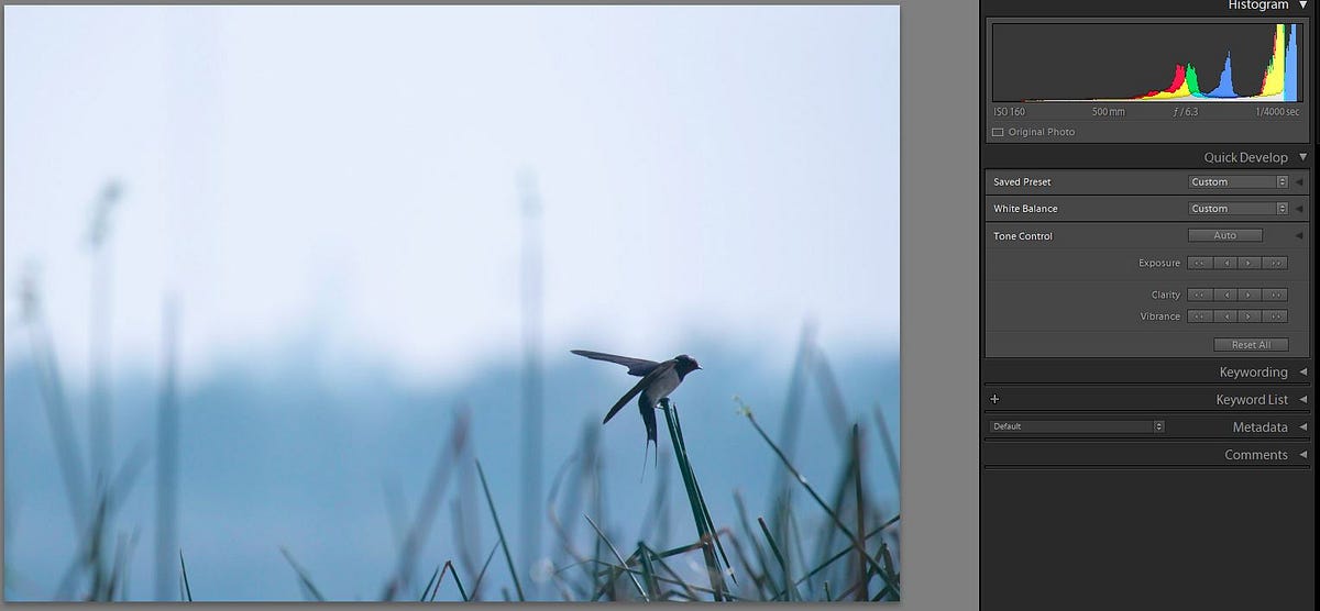 Understanding Histogram in Photography- How to shoot better | by ...