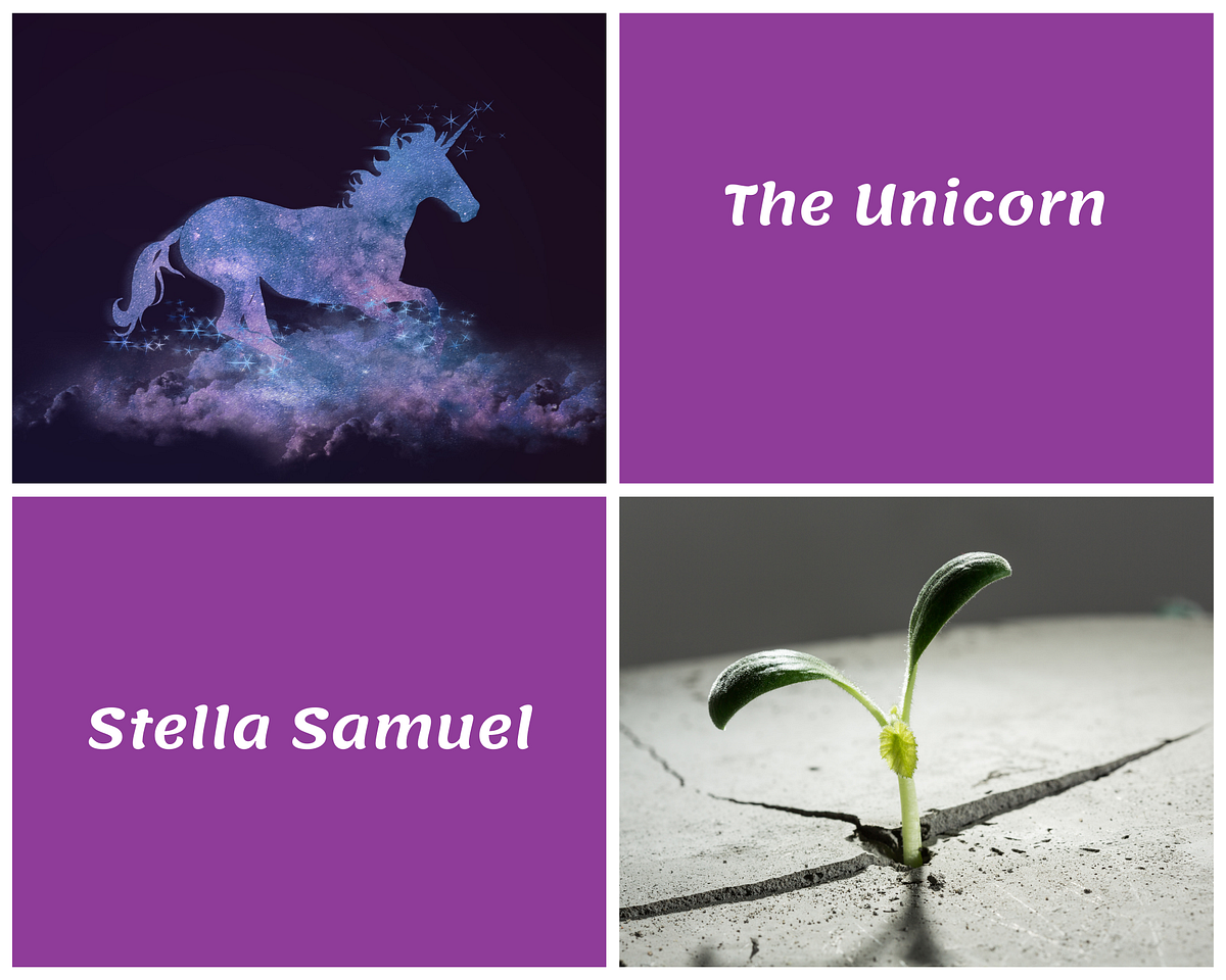 The Unicorn. Stella Poetry… words to thrive by | by Stella Samuel ...