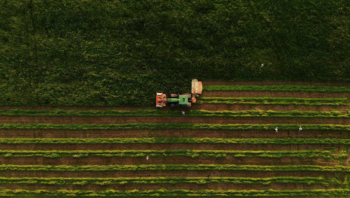 The Farming Revolution That Requires Farmers to Do Less, Not More | by ...