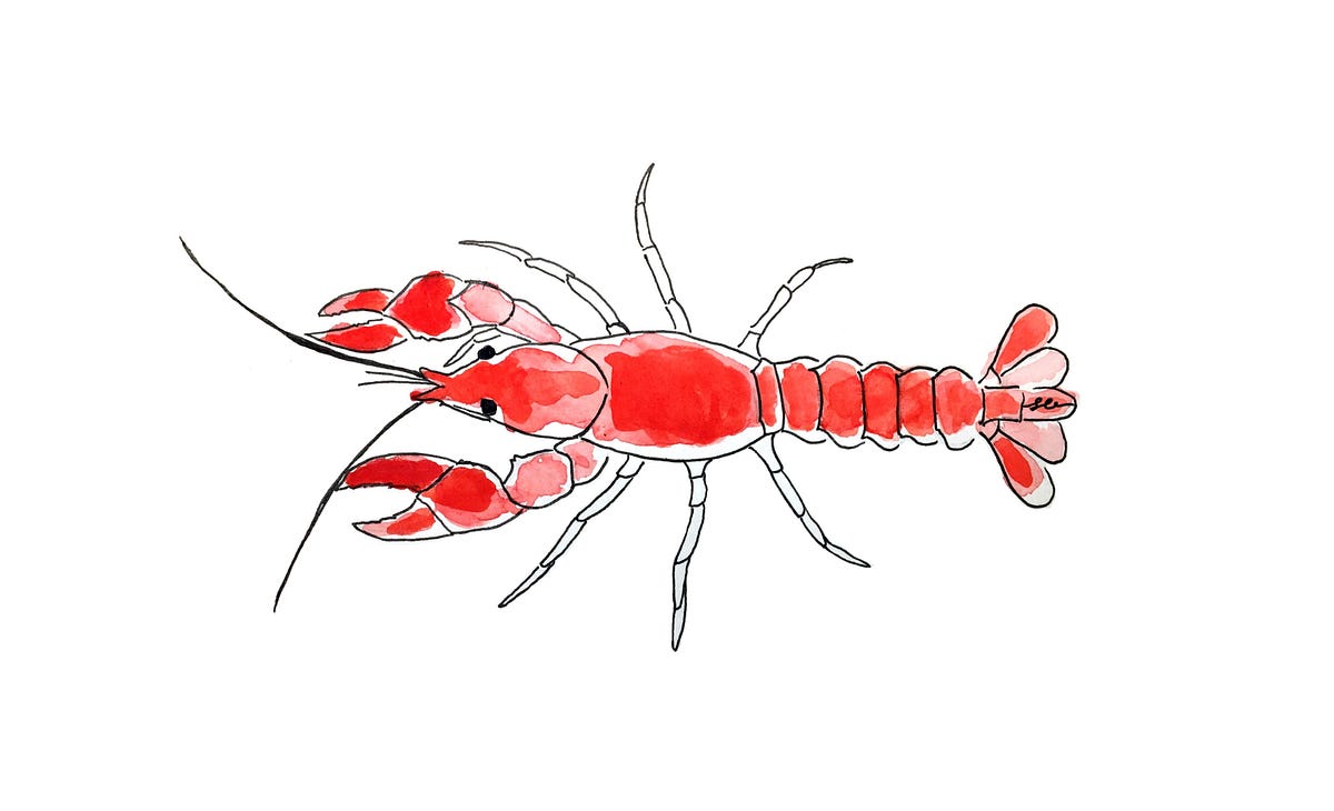 Elephant and Crawfish. A poem | by Sofia Chen | Koinonia | Medium