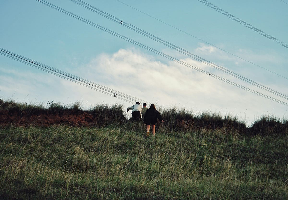 Dissecting a polaroid film. When’s the best time to rip it apart if ...