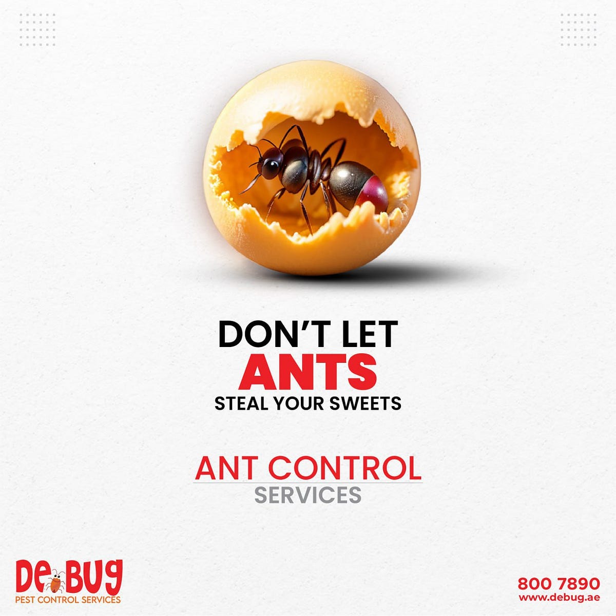 Mastering Ant Control: Tips and Strategies for a Pest-Free Home | by ...