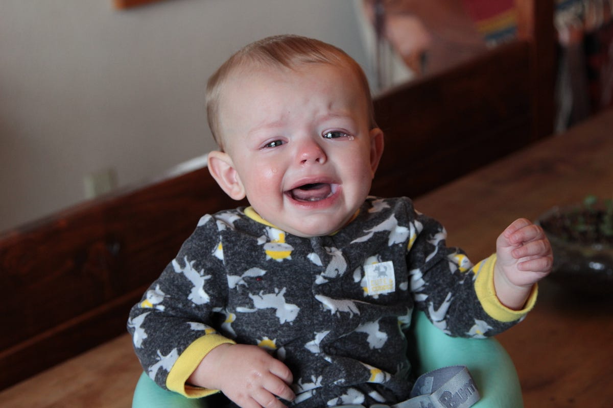 Infant’s Separation Anxiety. Let me start by explaining what is… | by ...