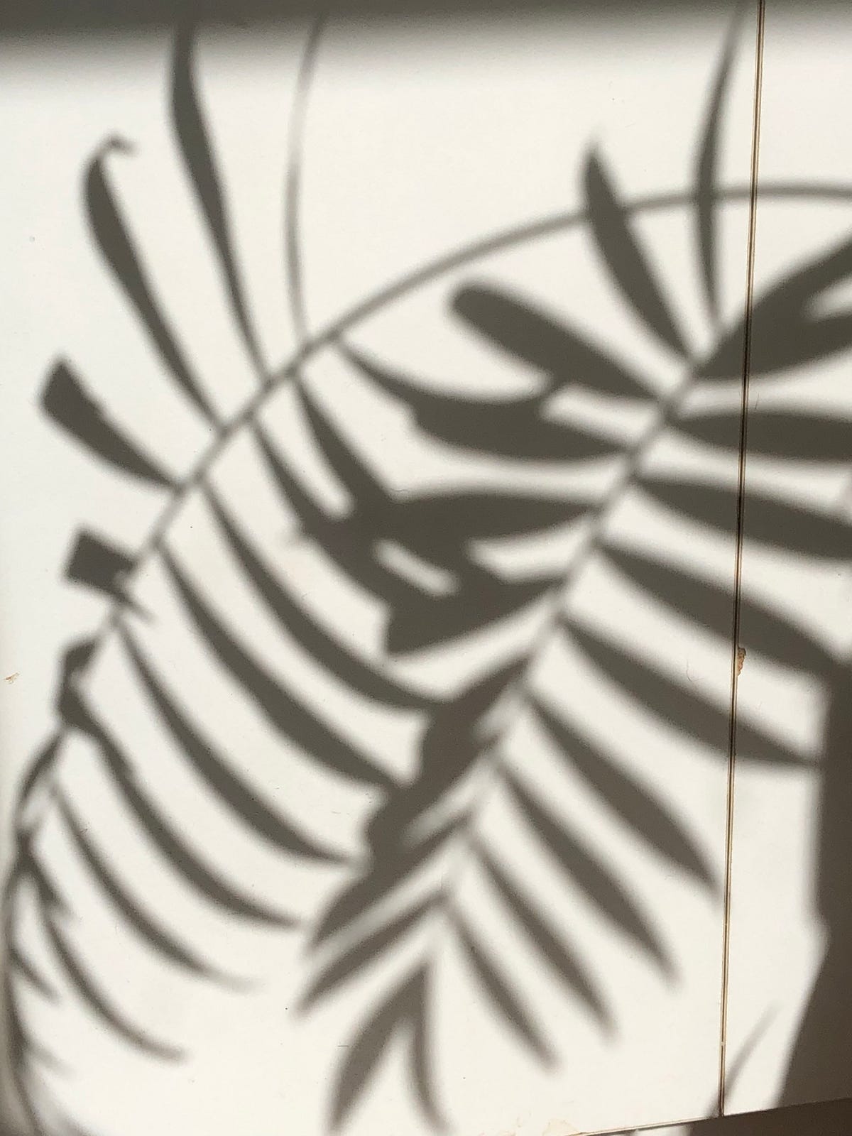 These Shadows Illuminated My Imagination - Six Word Photo Story ...