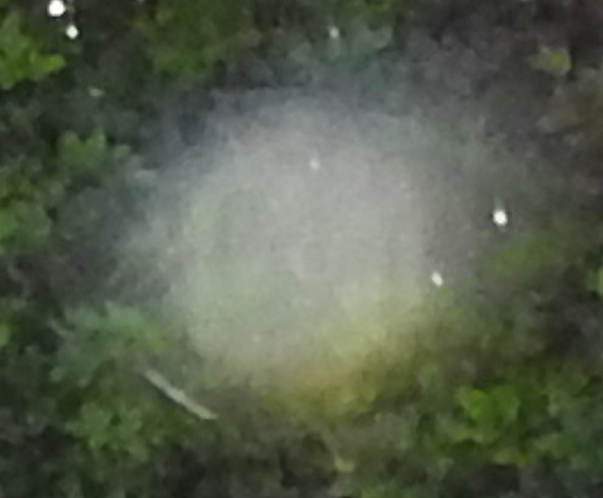 Translucent Orb Captured At The Estuary | by Johnmooner-chief | Medium