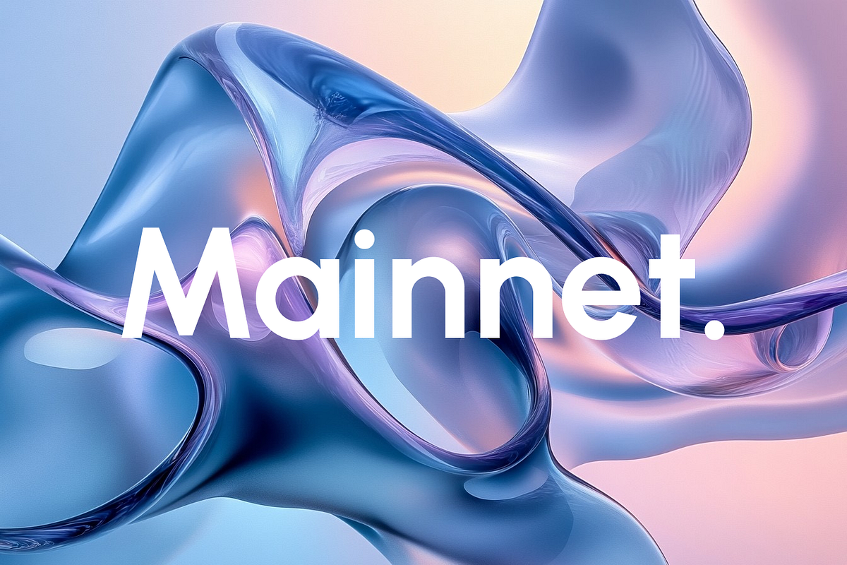 Bodega set to launch on Cardano Mainnet — November 1st, 2024. | by ...