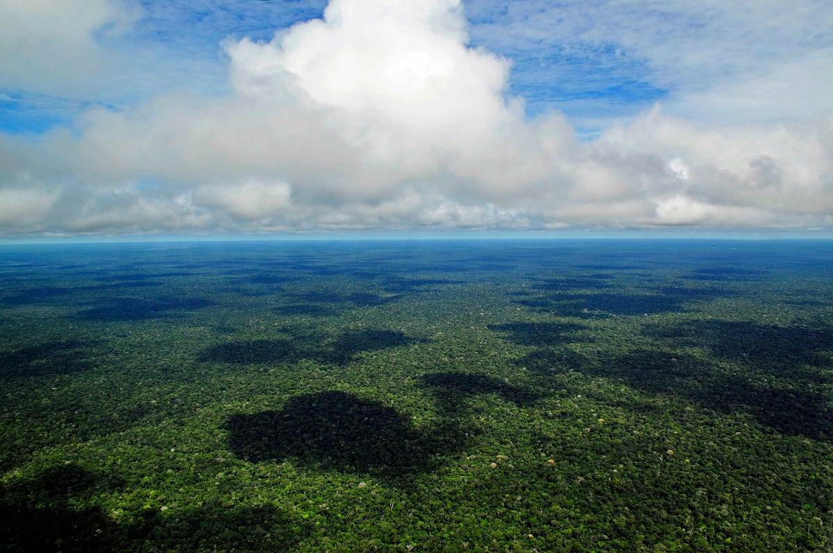 What Is The Amazon “Tipping Point,” Exactly? | by Quentin Septer | The ...