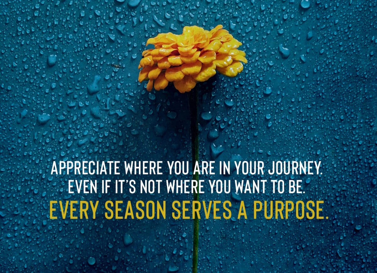 Every season serves a purpose. Every season serves a purpose, and… | by ...