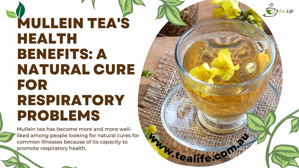 Mullein Tea’s Health Benefits: A Natural Cure for Respiratory Problems ...