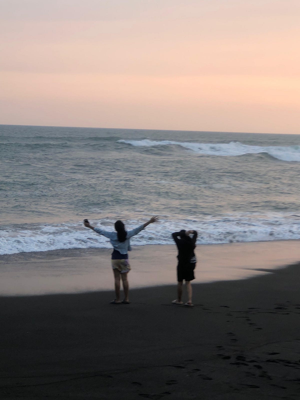 Opacarophile. someone with a deep affection for… | by Dea Audrey | Dec ...