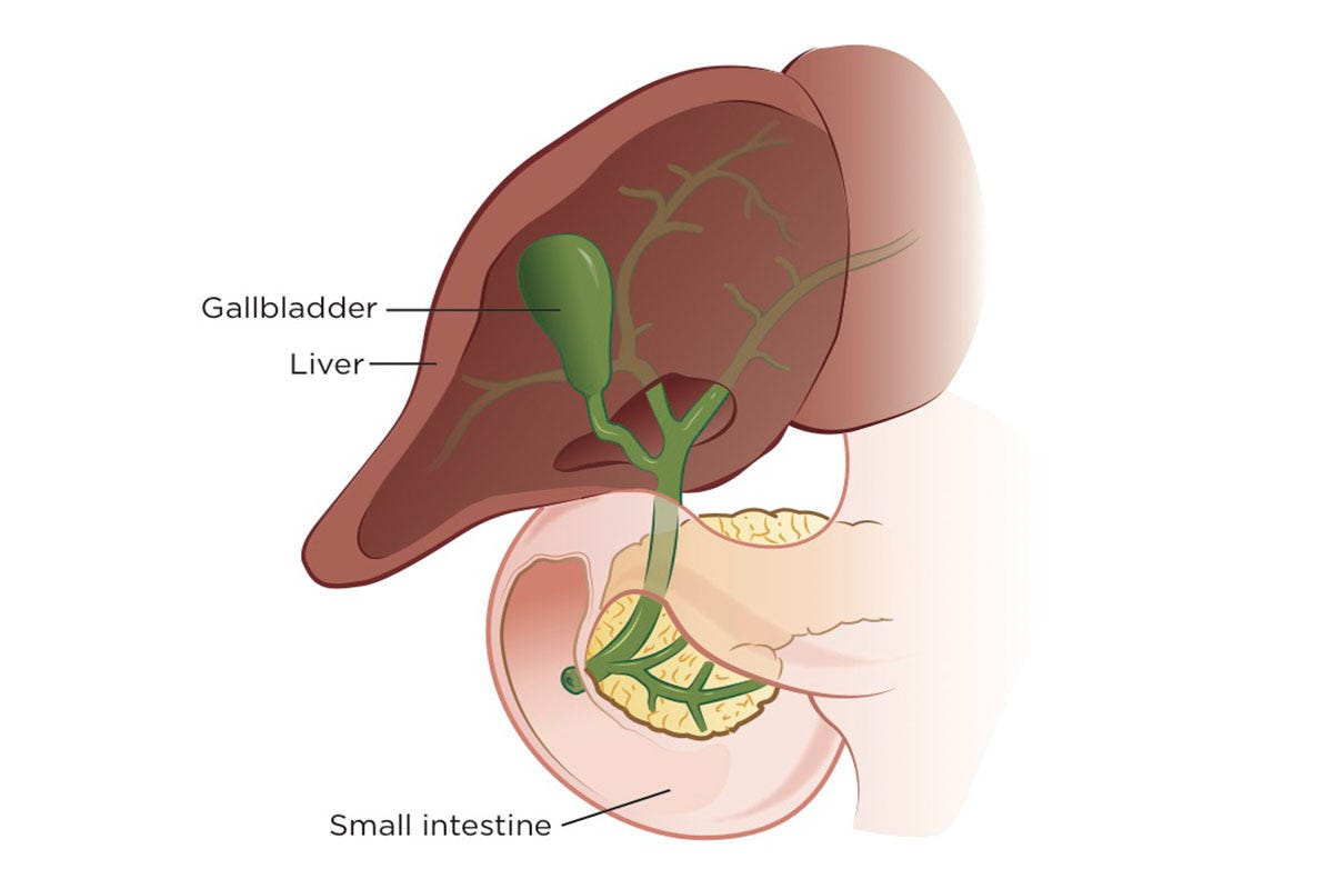 GALLBLADDER CANCER. The gallbladder is part of the… | by sinchan saha ...