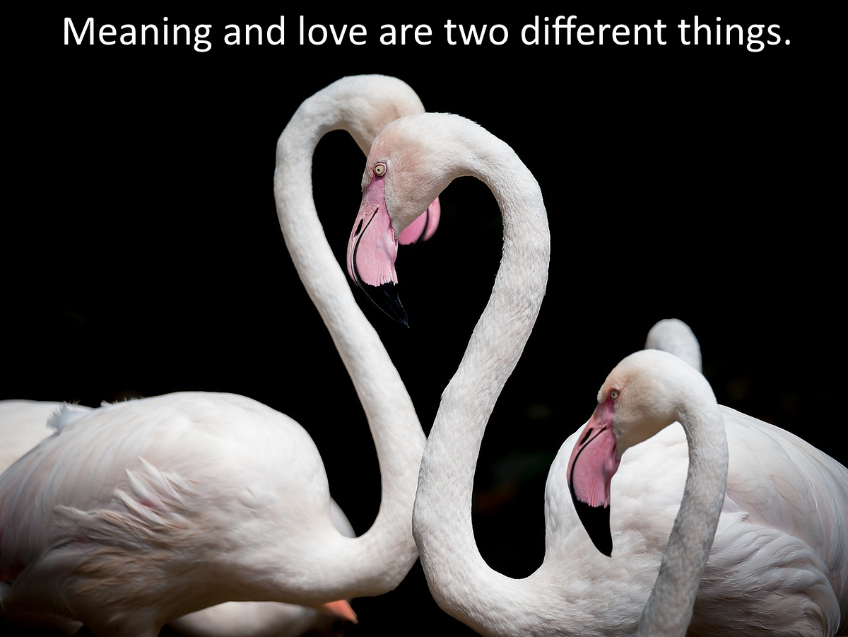 If You Want Meaning, Then You Must Do Meaningful Things | by Tessa ...