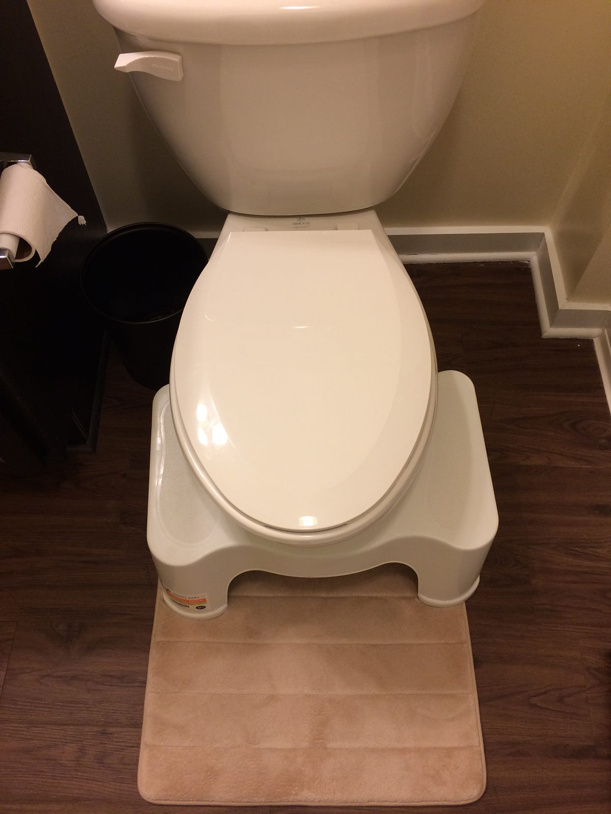 Talking Shit: My Top 10 Tips for Better Bowel Movements | by Greg ...