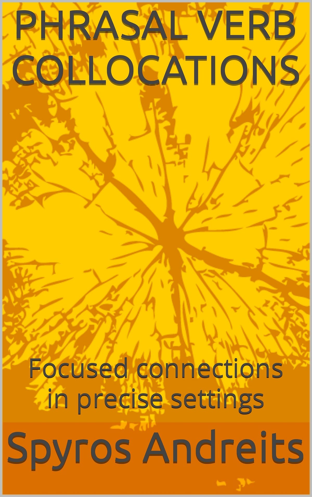 [READ] PHRASAL VERB COLLOCATIONS: Focused connections in precise ...