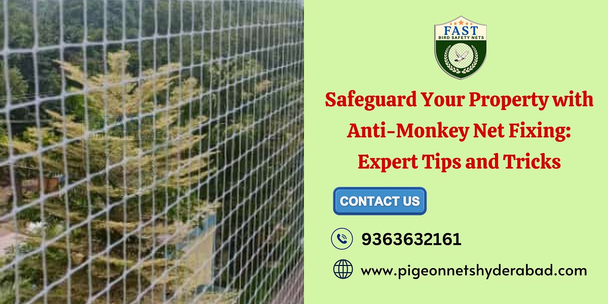 Safeguard Your Property with Anti-Monkey Net Fixing: Expert Tips and ...