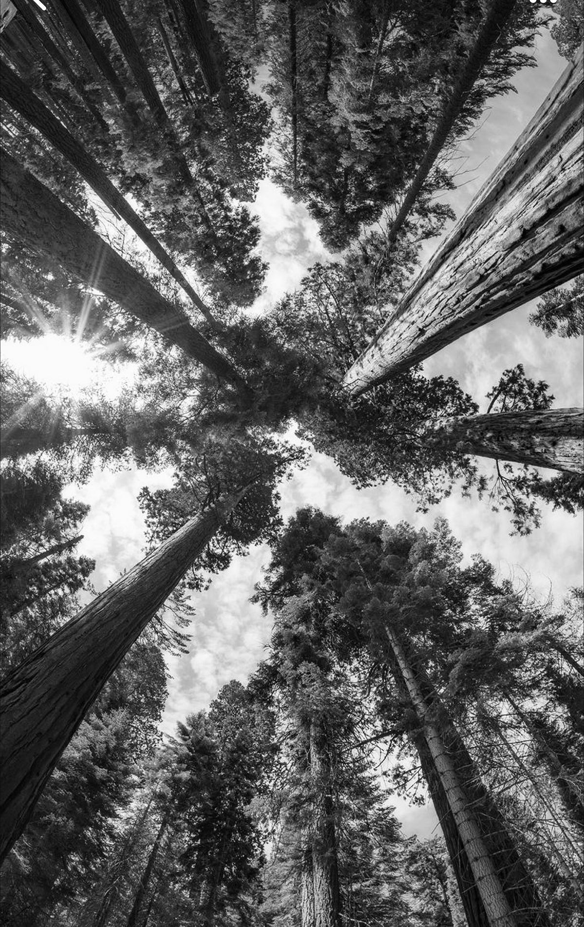 Би - Saikhan - Medium