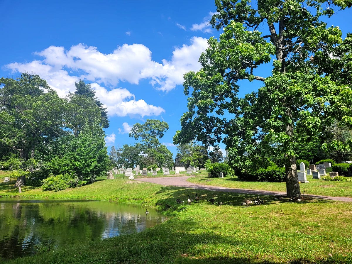 My Favorite Hangout Spot? The Cemetery. | by Prachanda Tiwari | ILLUMINATION | Jul, 2025 | Medium