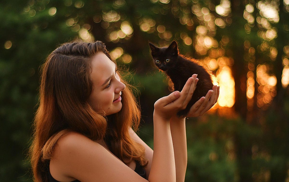 Saving Yourself to Save Others. A survival guide for the soul of an ...