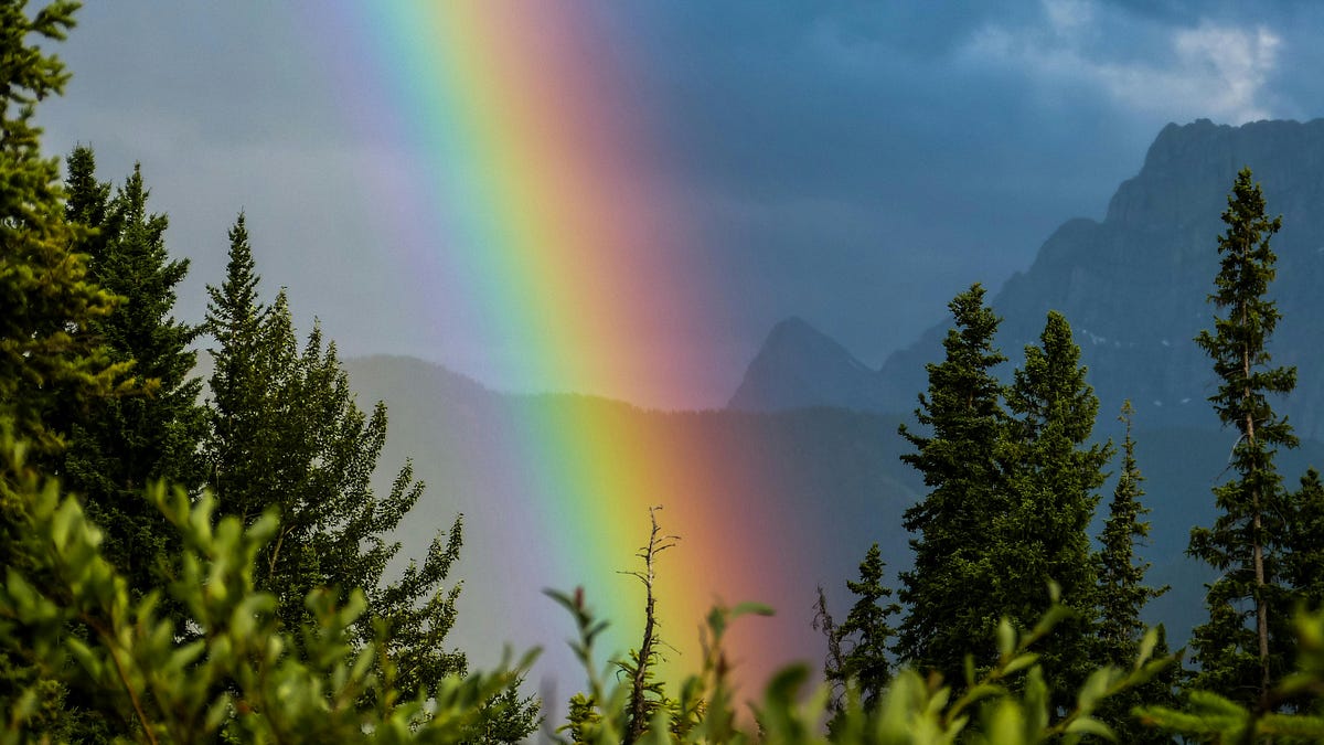 It’s Not Often You See a Rainbow. So make the most of it when you do ...