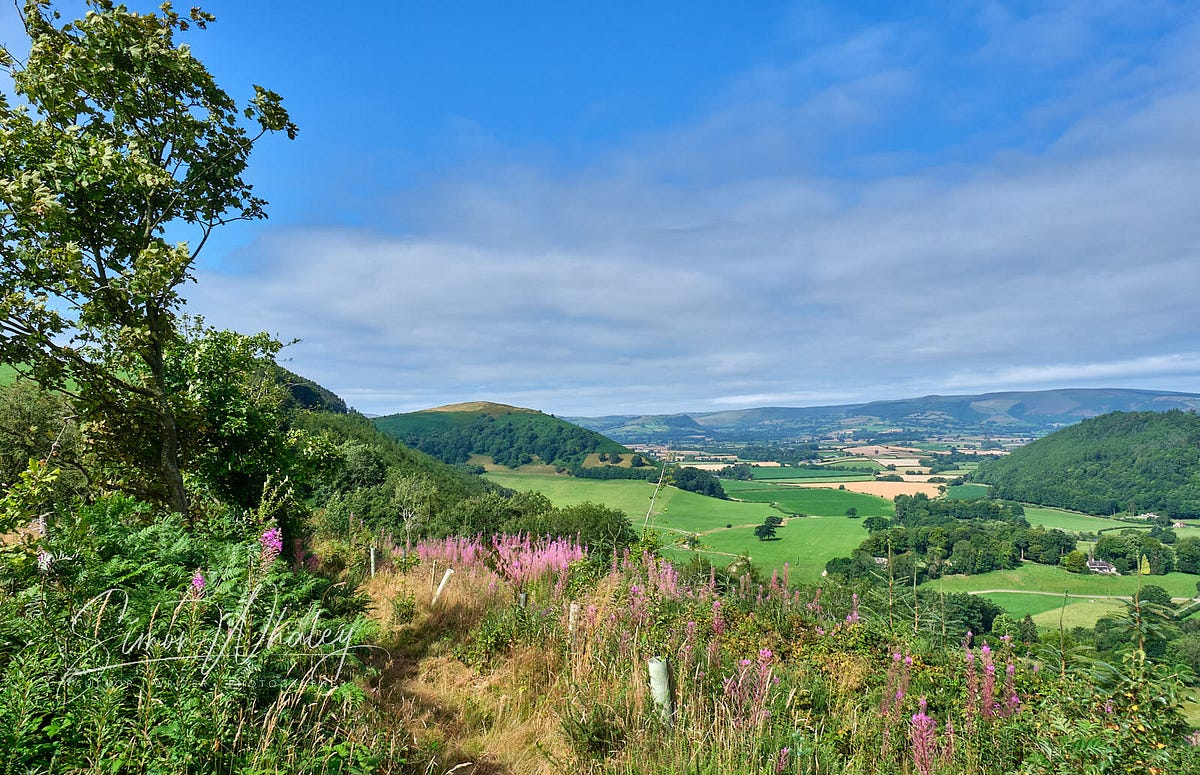 Walking Route: A Titley Circular. A 14km (8 3/4-mile) stroll linking ...