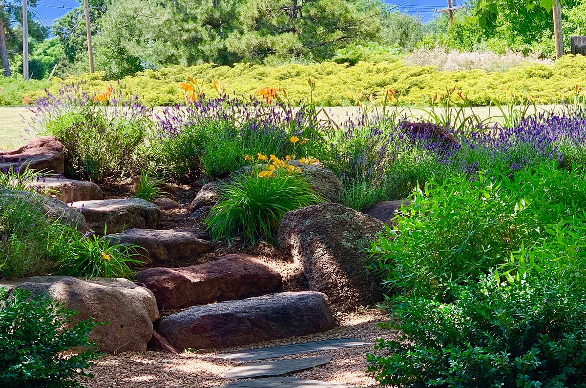 The Generosity of Place. With a glimmer in his eye, a wise man… | by Victoria Kindred Keziah ...