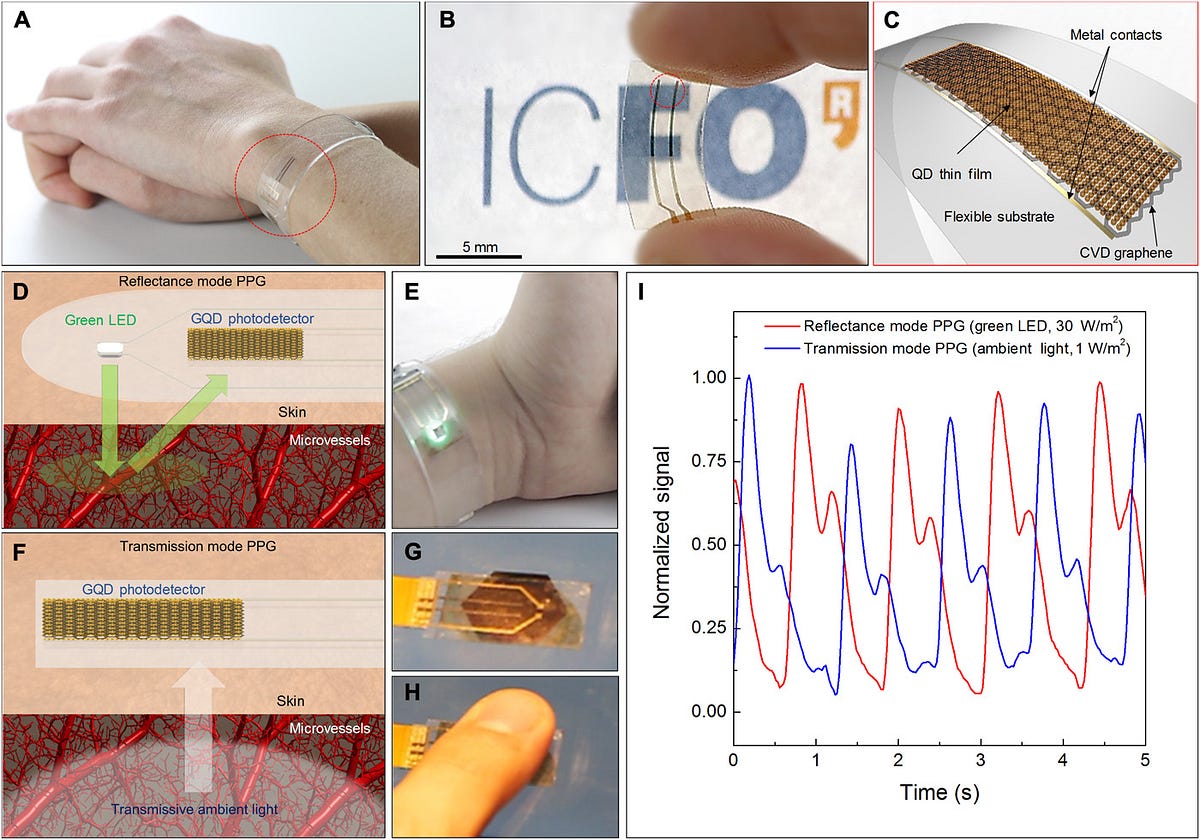 Wearable Health Monitors Make Use of Flexible Graphene Photodetectors ...