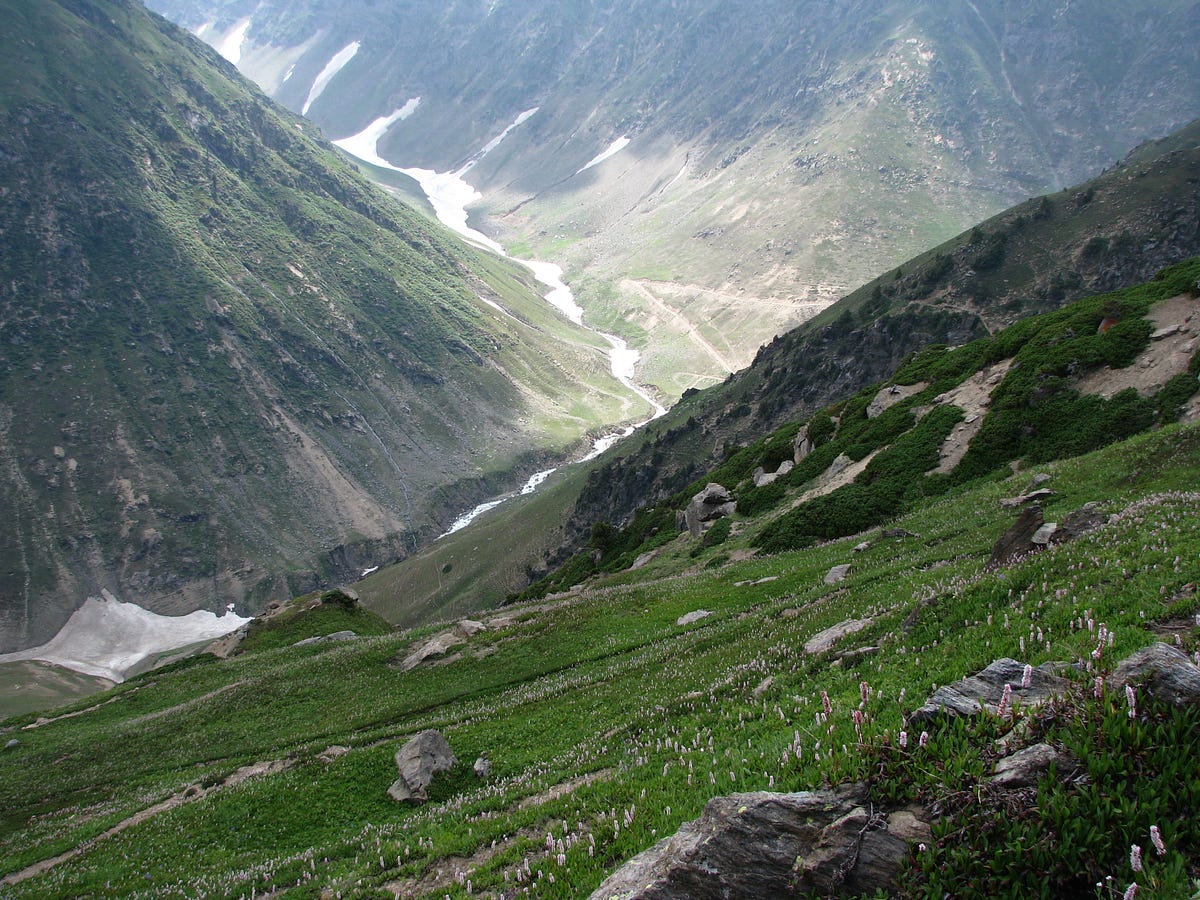 Day 4. Saral Onwards: Jabba Pass and a Lethal… | by Saad Mansoor Qureshi | Medium