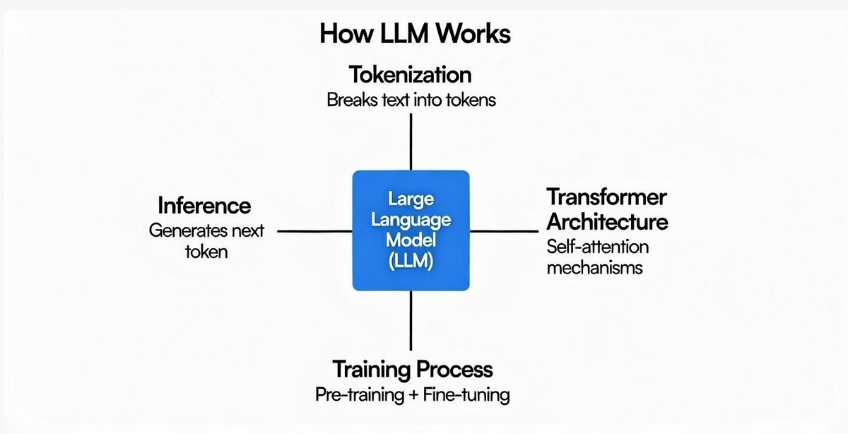 I Tried 20+ LLM Courses on Udemy: Here are My Top 5 Recommendations for ...